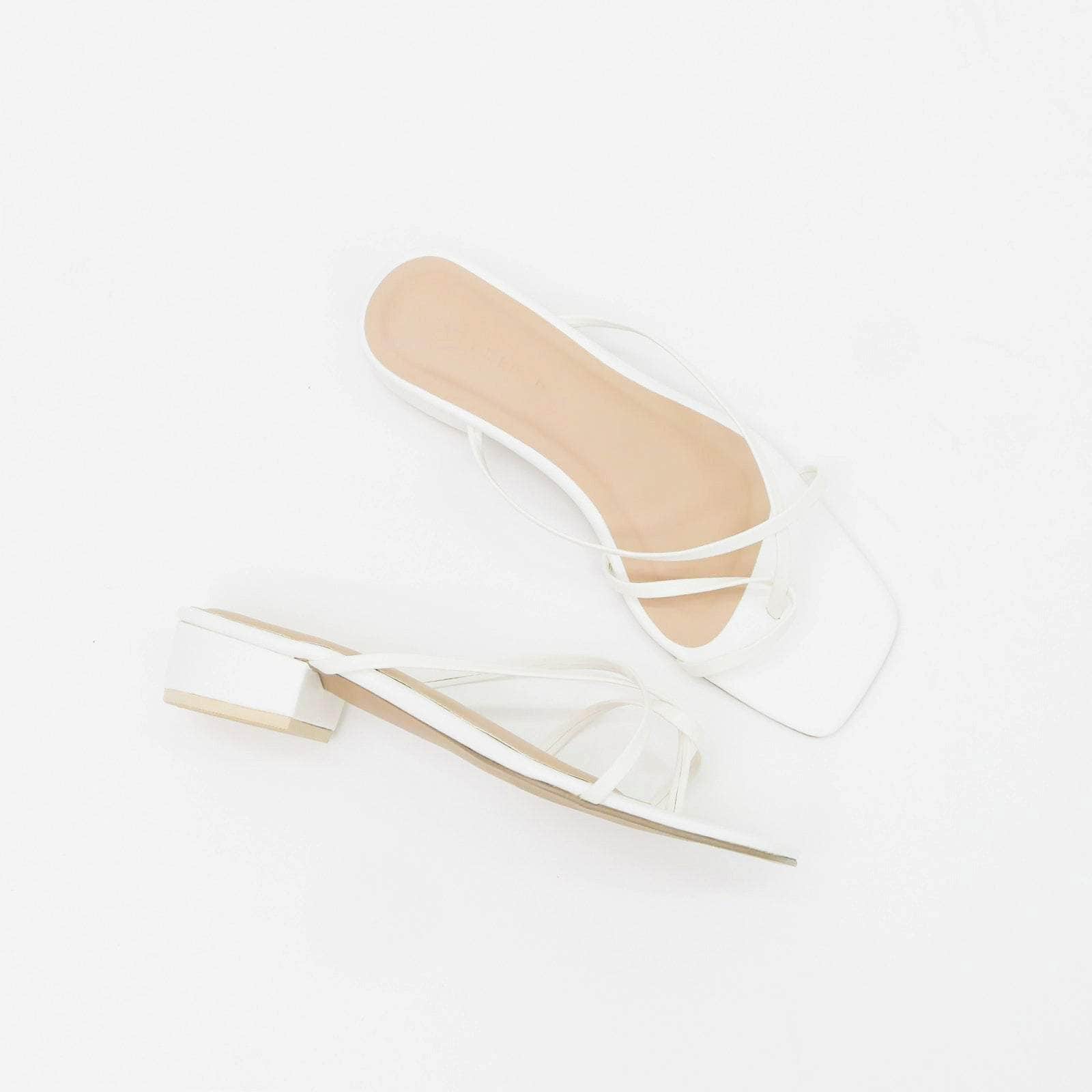B1G2 Brie White – Aztrid